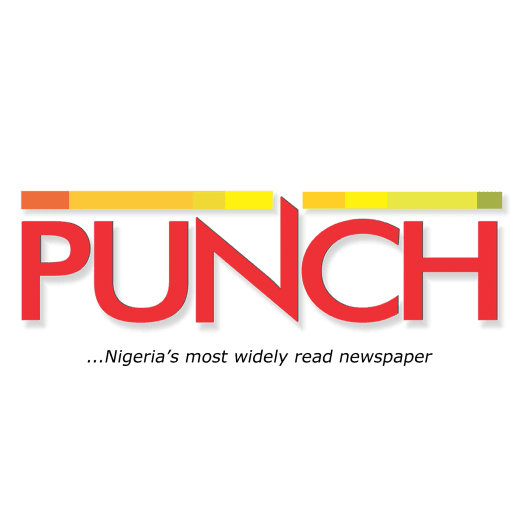 DBI President Interview with The Punch Newspaper on the role of DBI in ...